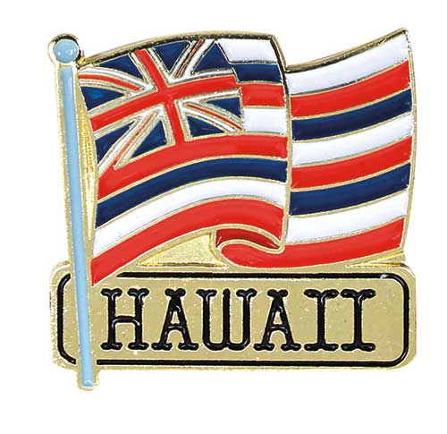Pin Hawaii Flag